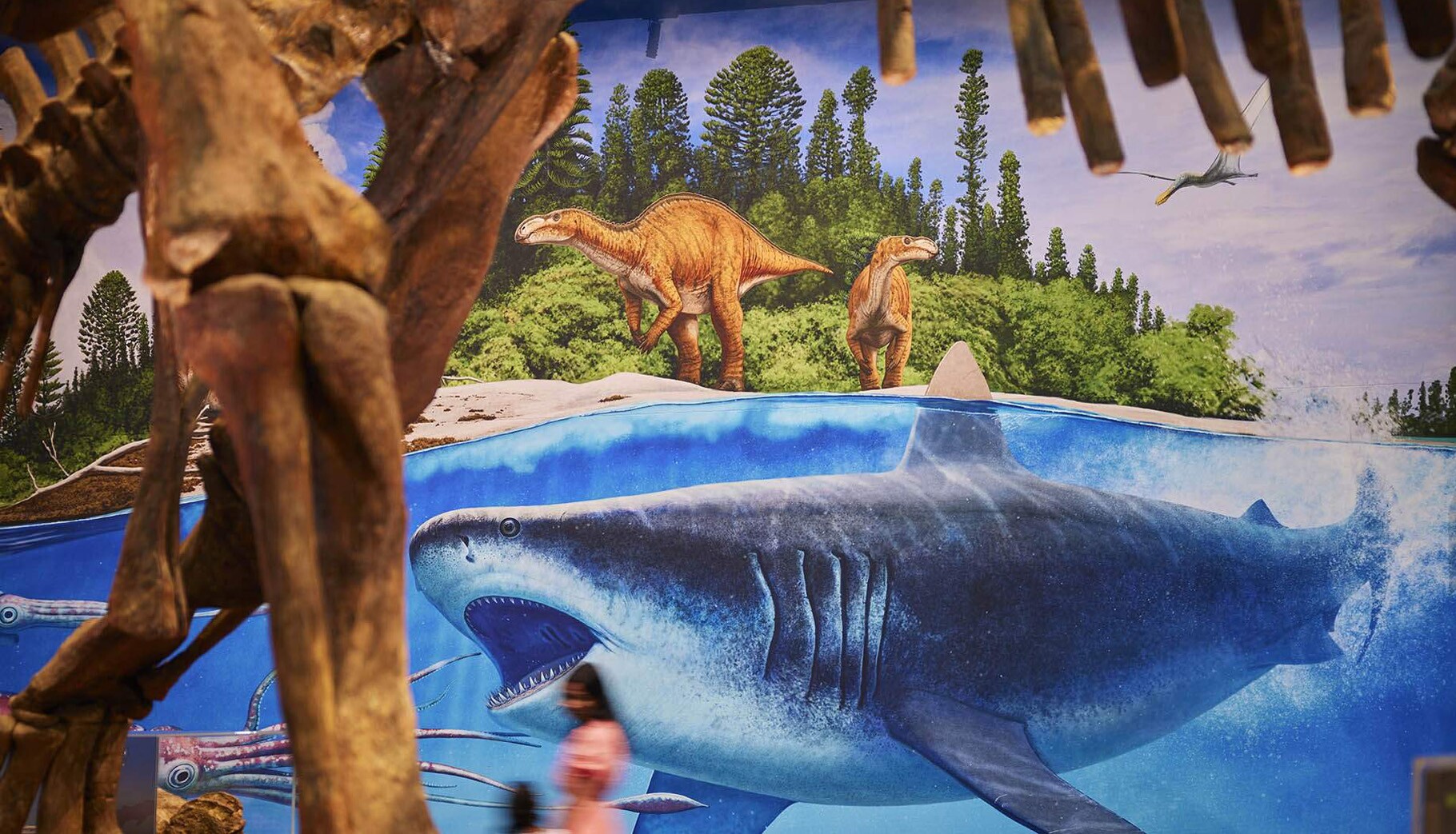 Project Management | Projects | Alison Ross