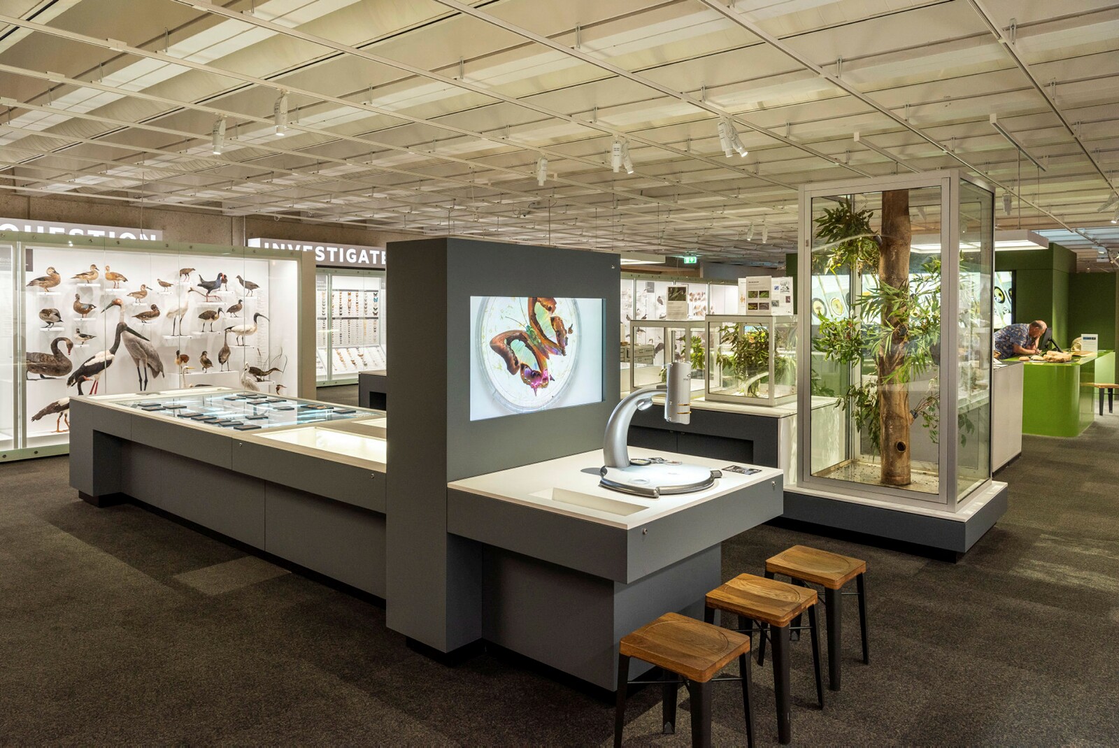 Discovery centre | Projects | Alison Ross